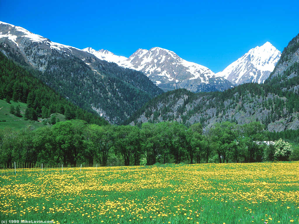 New discoveries along the “Golden Path” | Le splendide voyage